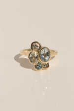 Tidepool Ring – Dear Survivor