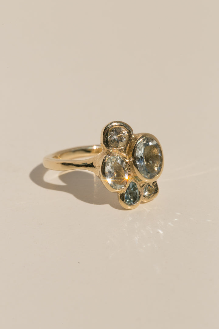 Tidepool Ring – Dear Survivor